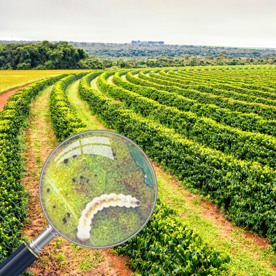 Startup torna mais acessível o controle biológico de pragas